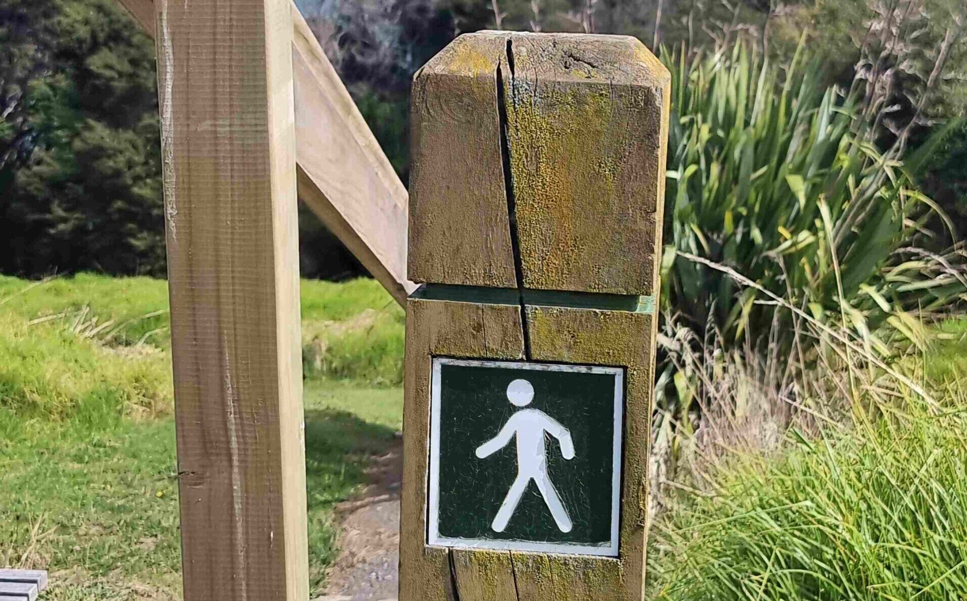 Scotts Landing – Auckland's Hidden Gem